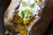 Charlottetown Founders’ Food Hall – Eat Drink & Shop Local!